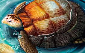 Koorma Chakra – ASTRO GIVA